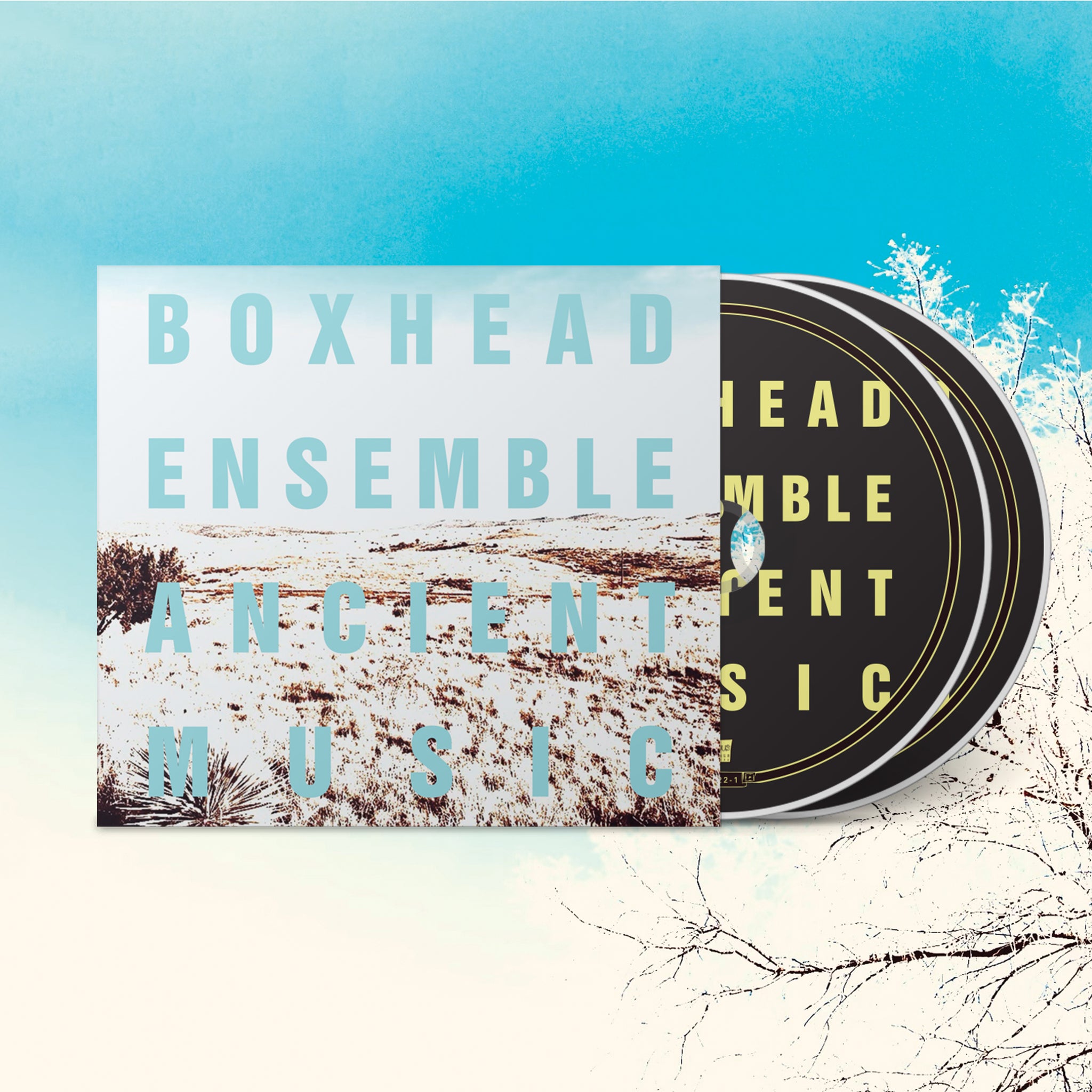 Cat. No. JB222 – Jealous Butcher Records